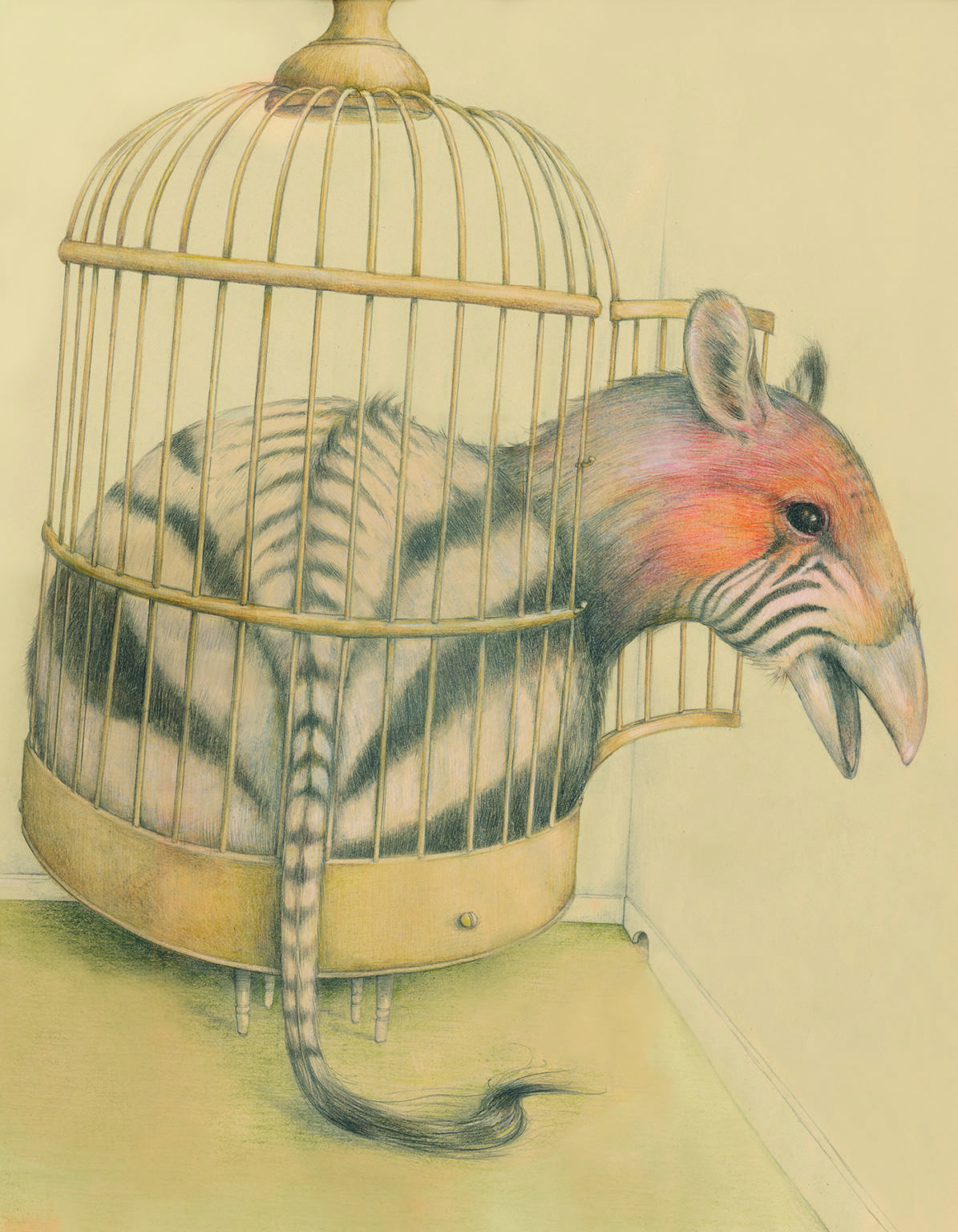 Expositie prentenboek en natuur tekeningen - Jenny Bakker